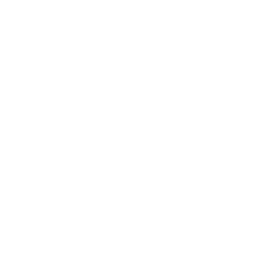 Decentralized AI Execution | LazAI Network